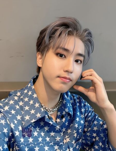 Han Jisung’s Age: How Old Is The Stray Kids’ K-Pop Artist?