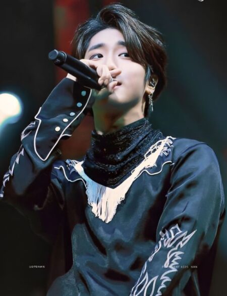 Han Jisung’s Age: How Old Is The Stray Kids’ K-Pop Artist?